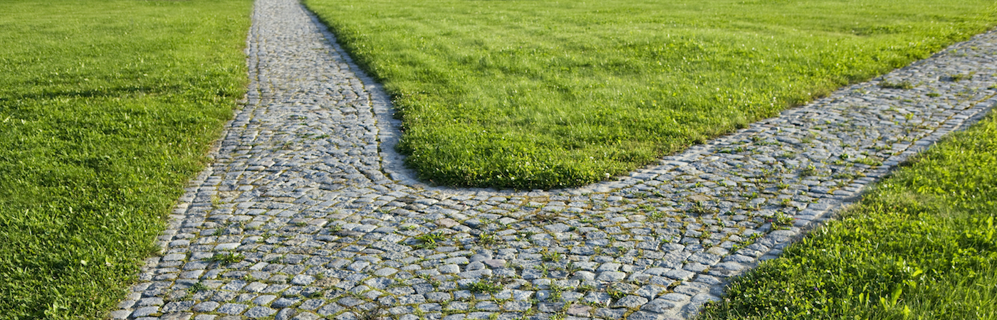 forked path - RoundPeg